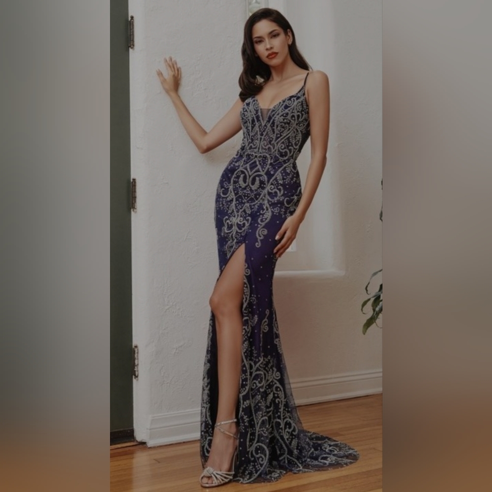 Cinderella Divine Fitted Mermaid Gown With Embellishm… - Gem